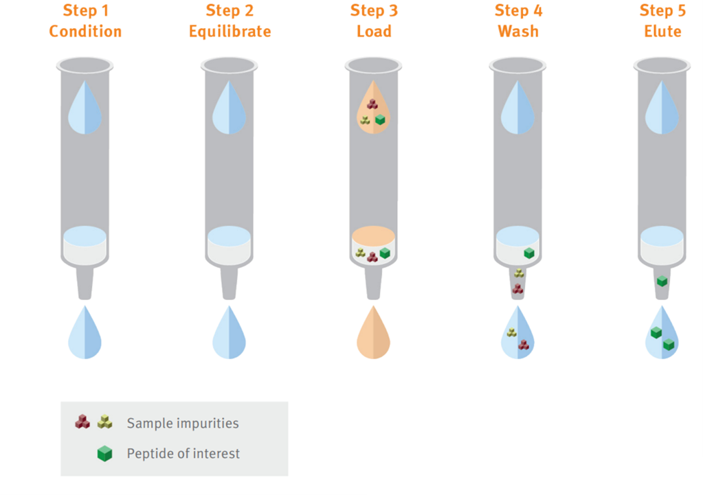 Does media choice matter for peptide library purification using solid phase extraction?